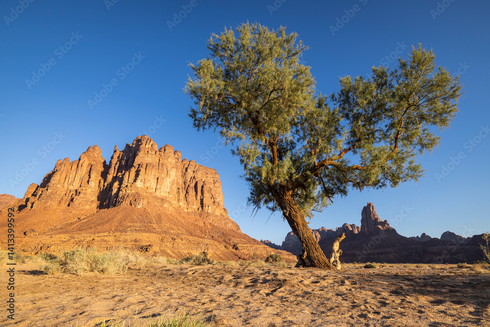 Saudi Arabia, Tabuk, Al-Disah. Desert Prince Mohammed bin Salman ...