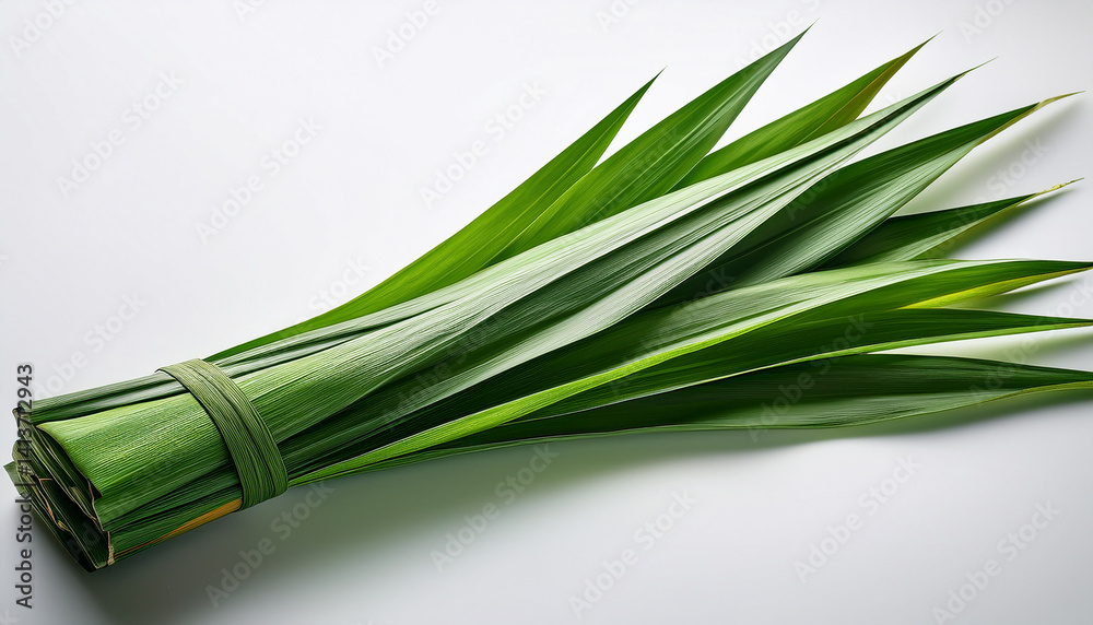 Green Pandanus Leaves: A close-up of a bundle of lush green Pandanus ...