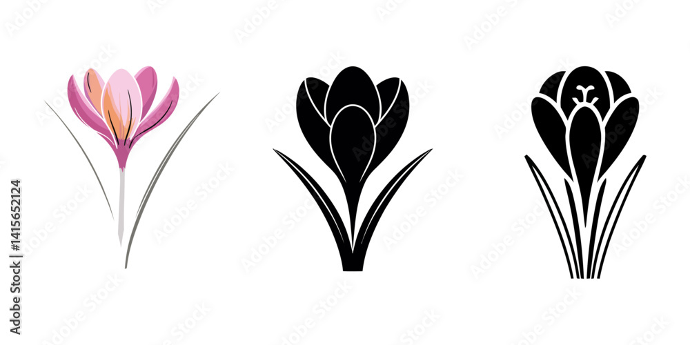 silhouette crocus flower set, Botanical set line illustration of crocus ...
