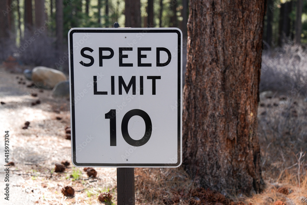 "Speed Limit 10" sign is posted in a forested area, surrounded by tall ...