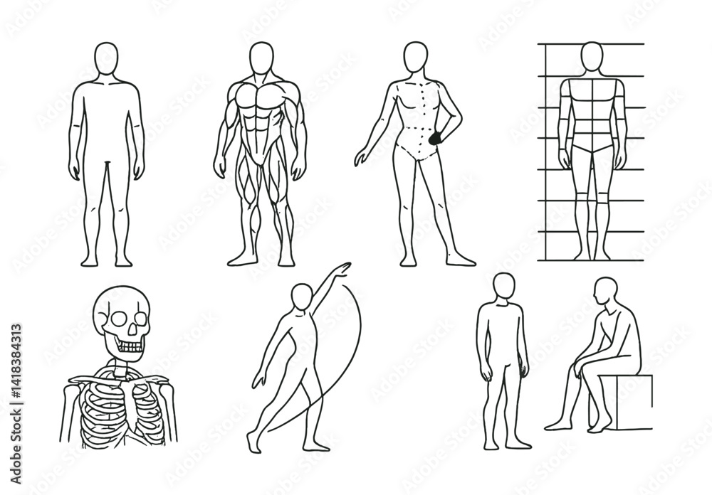 Line vector icons of figure drawing: human body, muscle form, reference ...