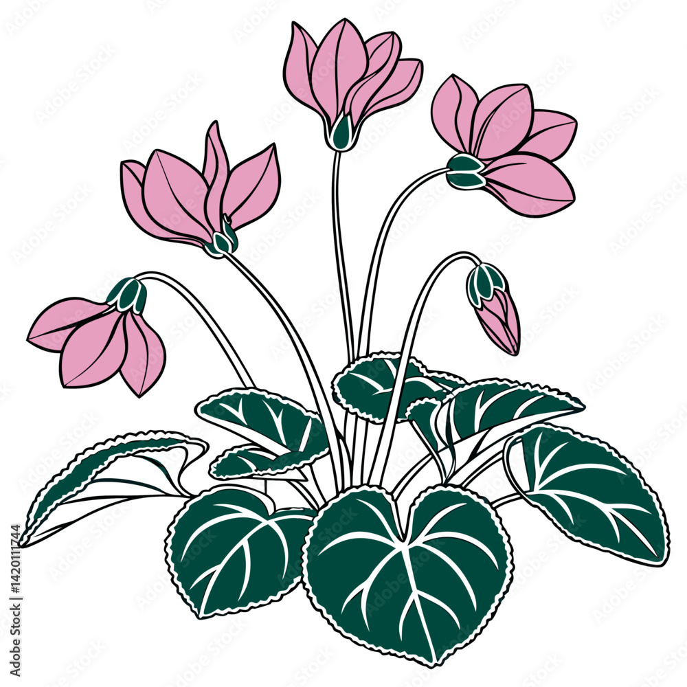 Artistic Cyclamen Houseplant with Bold Outline Stock Vector | Adobe Stock