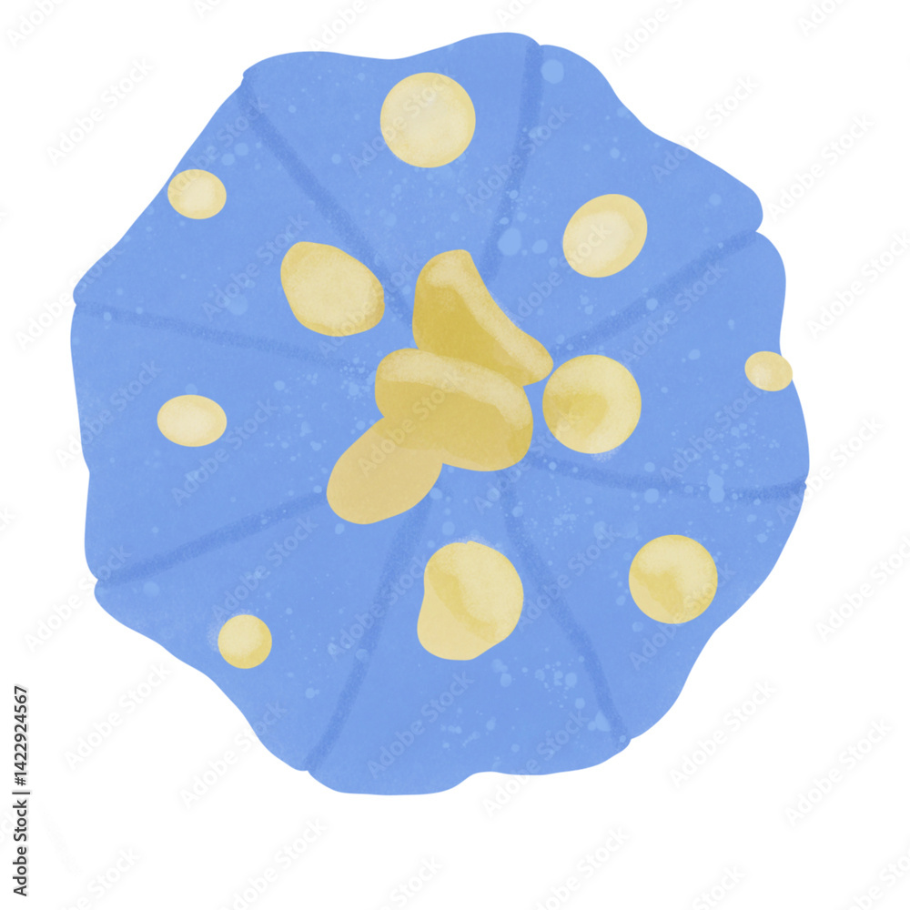 The drawing of the blue astro cactus can be used to decorate various ...