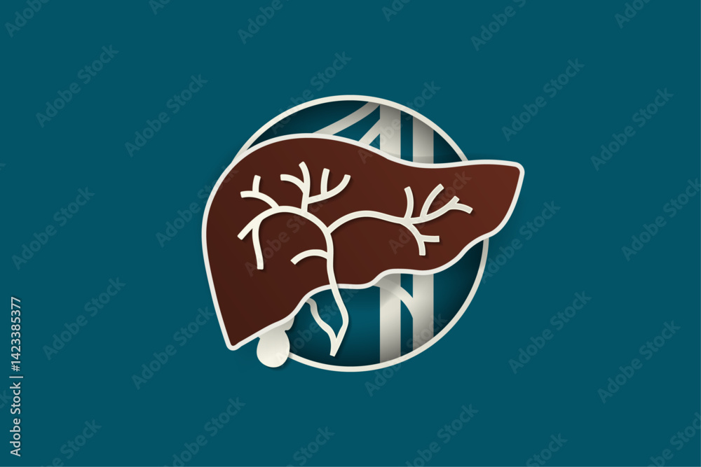 Red Liver illustration with gallbladder and cystic ducts. Visible aorta ...