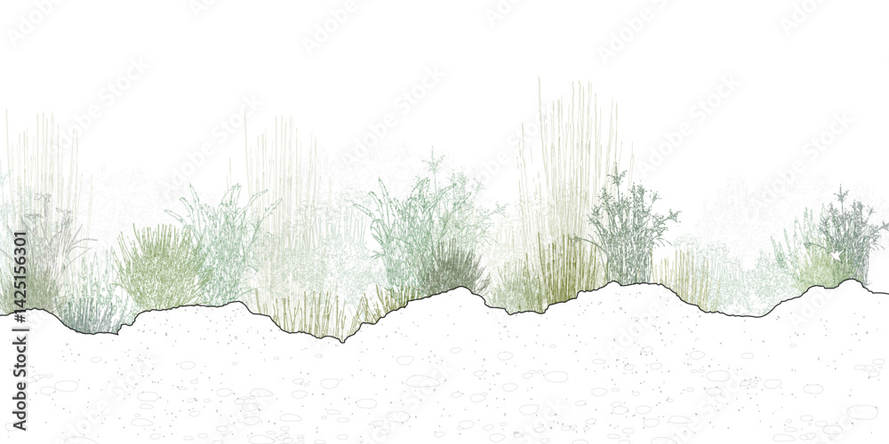 Architectural Drawings, Minimal style cad tree line drawing, Side view ...