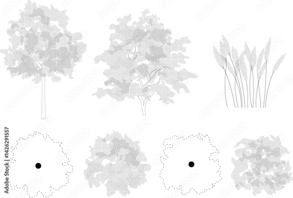 Trees in elevation and plan view for architectural drawings Stock ...