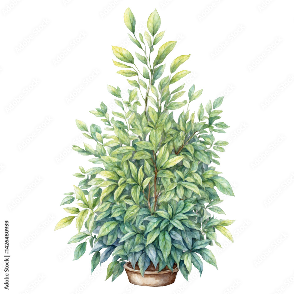 Layered garden bush clipart rendered with a watercolor art illustration ...