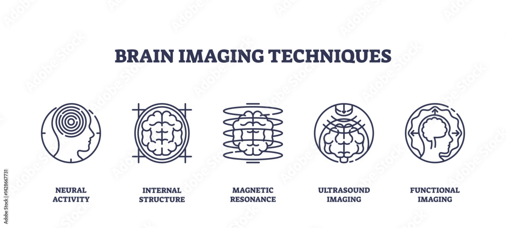 Brain imaging techniques icons show neural activity, brain structure ...