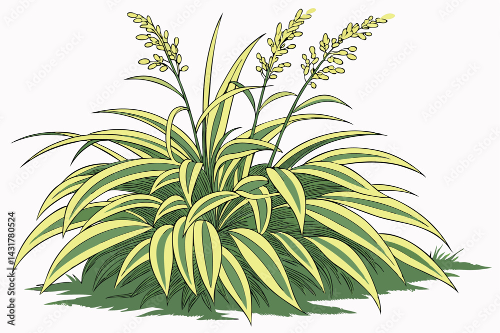 44 Ornamental grass, vibrant lime green foliage, cascading leaves ...