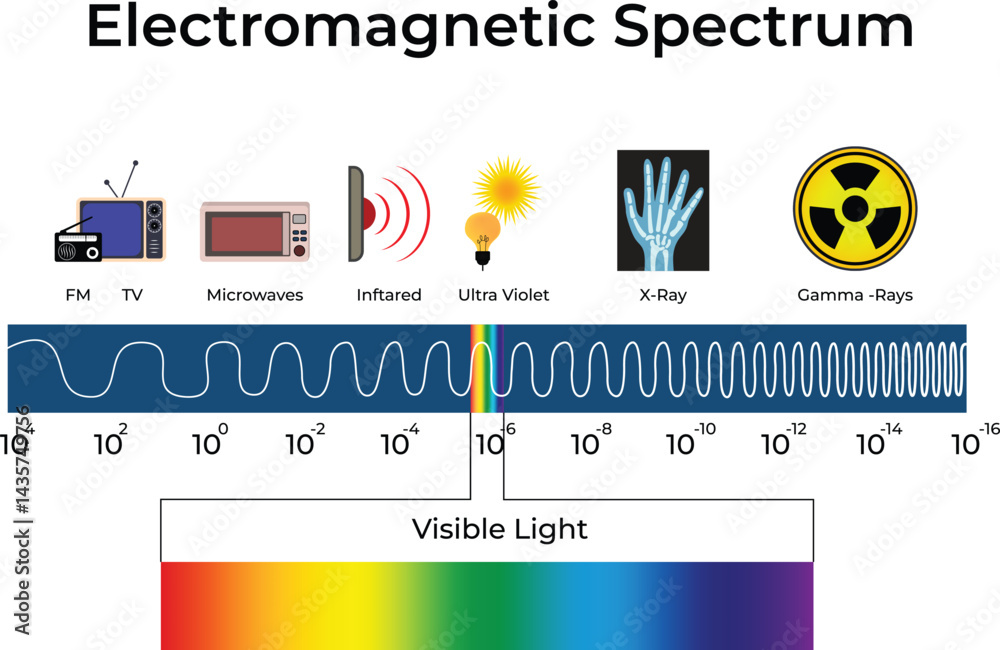 Electromagnetic Spectrum Diagram Design Vector Illustration Stock ...
