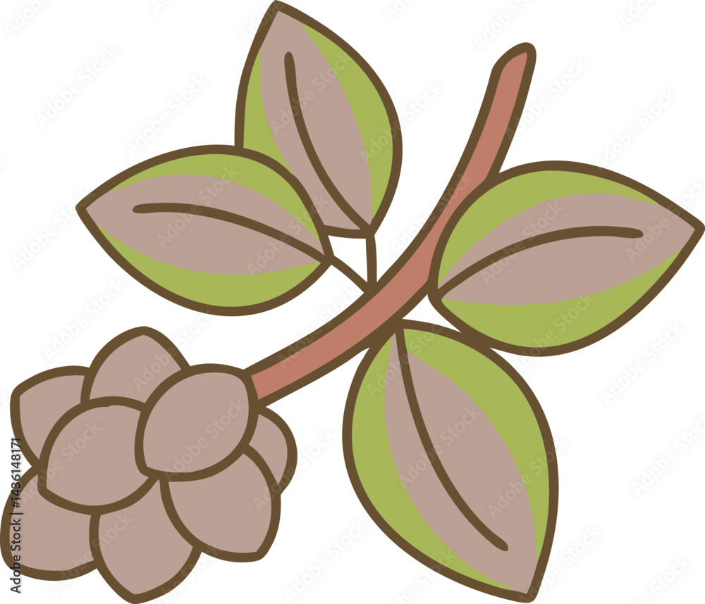 Tropical and Medicinal Trees teak, eucalyptus, cinchona, moringa, neem ...