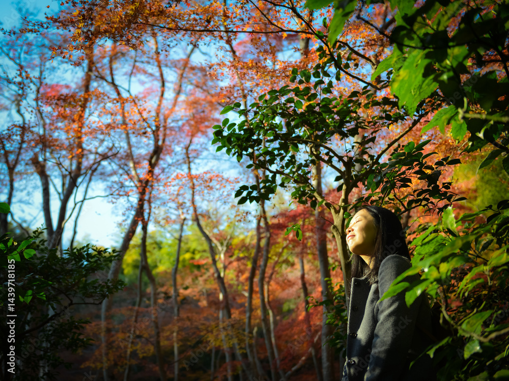 One Asian girl enjoying the autumn foliage at Daikakuji Temple in Kyoto ...