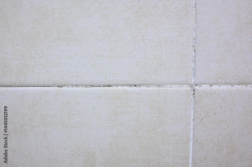 Mold on tile joints on grout between tiles in bathroom in shower cabin ...