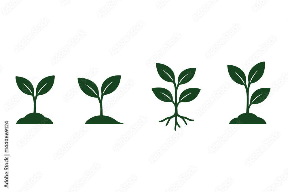 Growth stages of a plant depicted in simplified illustrations showing ...