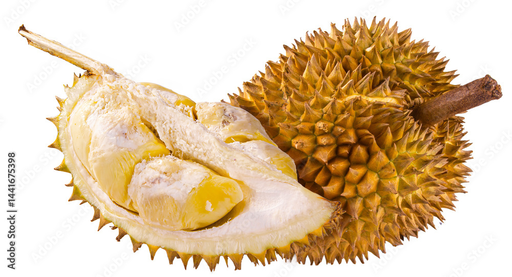 durian, durians, kings of fruit isolated on white or transparent ...
