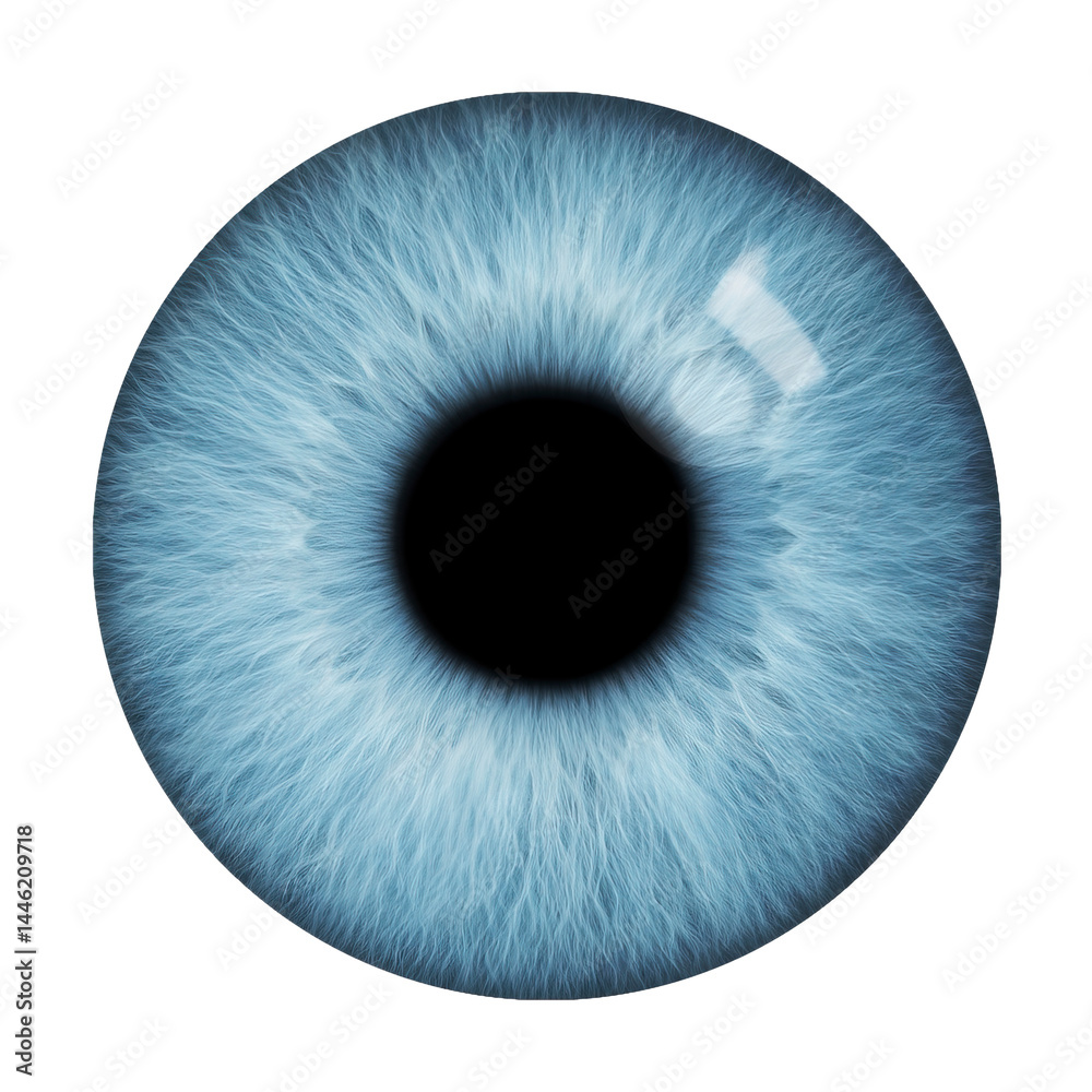 Stock-Illustration „BLUE EYE COLORS Blue green hazel brown yellow grey ...