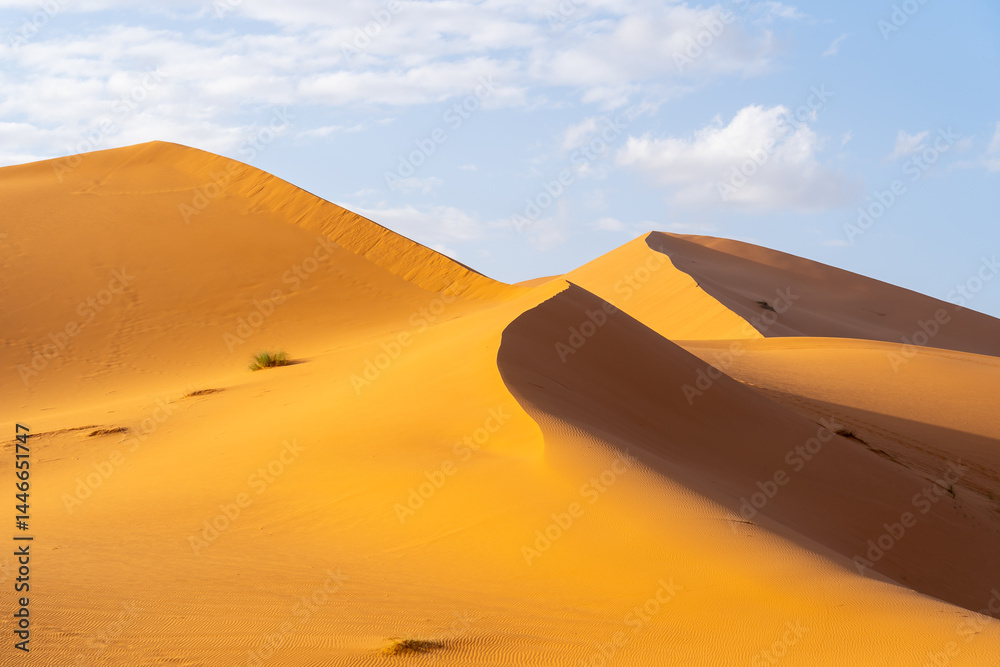 View of Sahara Desert in Morocco, Africa. The Sahara Desert is the ...