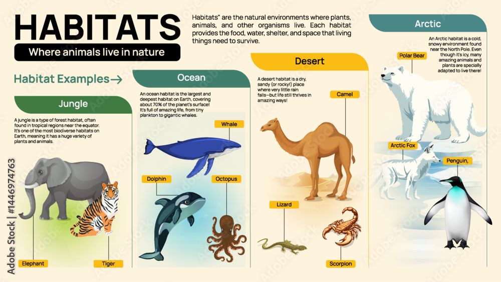 Animal Habitats Infographic – Jungle, Ocean, Desert, Arctic Wildlife ...