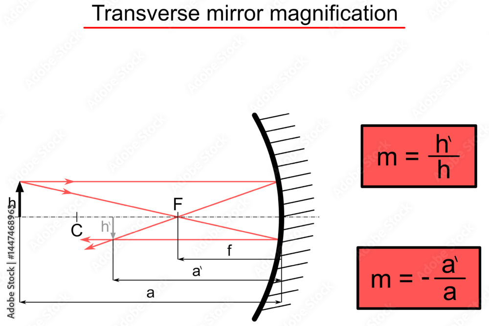 เวกเตอร์ Stock Transverse mirror magnification - schematic image and ...
