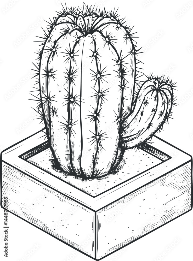 Black and white sketch illustration of a spiny cactus plant in a square ...