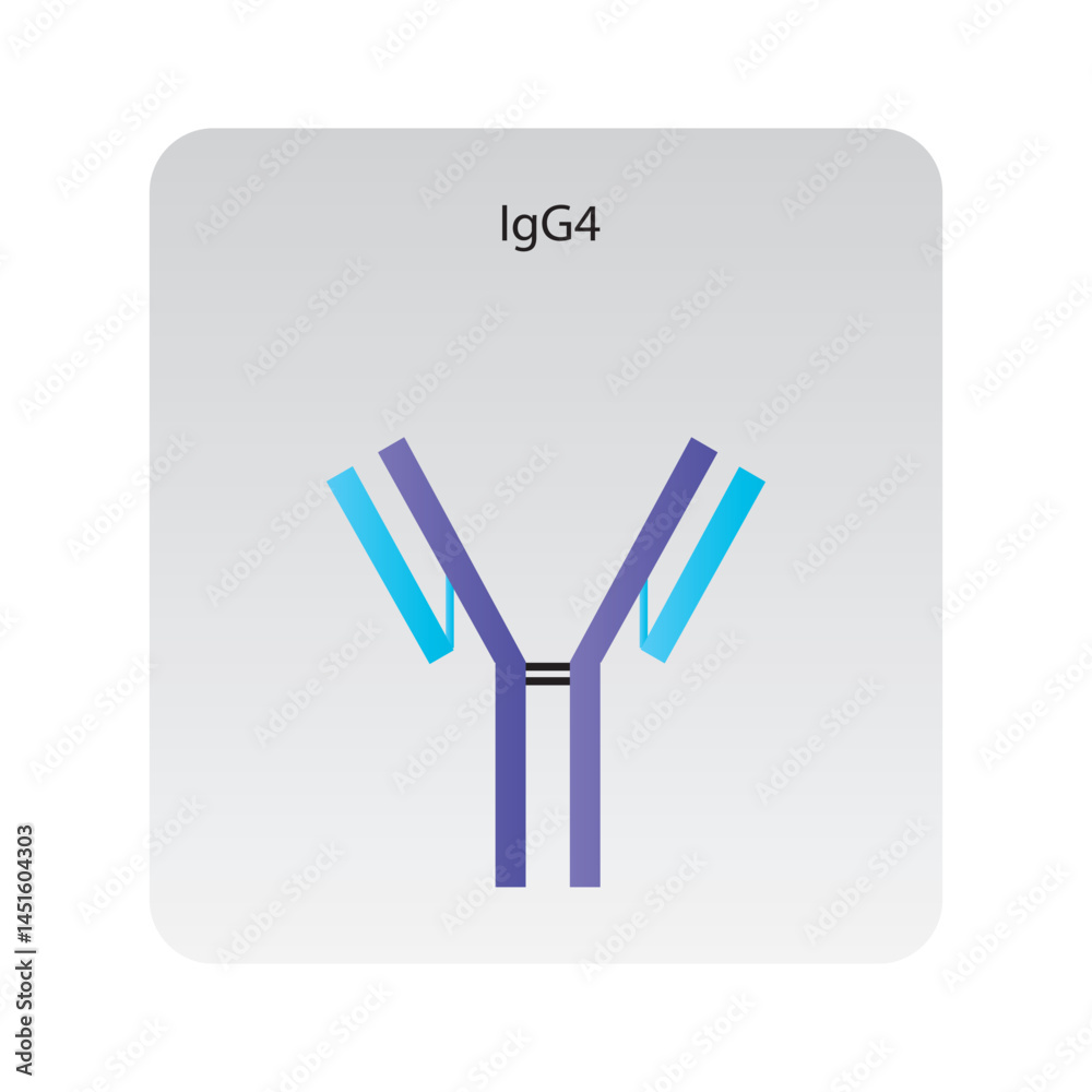 Secretory IgA immunoglobulin antibody structure schematic illustration ...