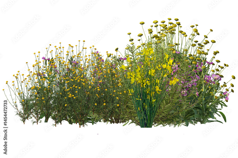 Diverse collection of isolated flowers grasses bushes and small plants ...