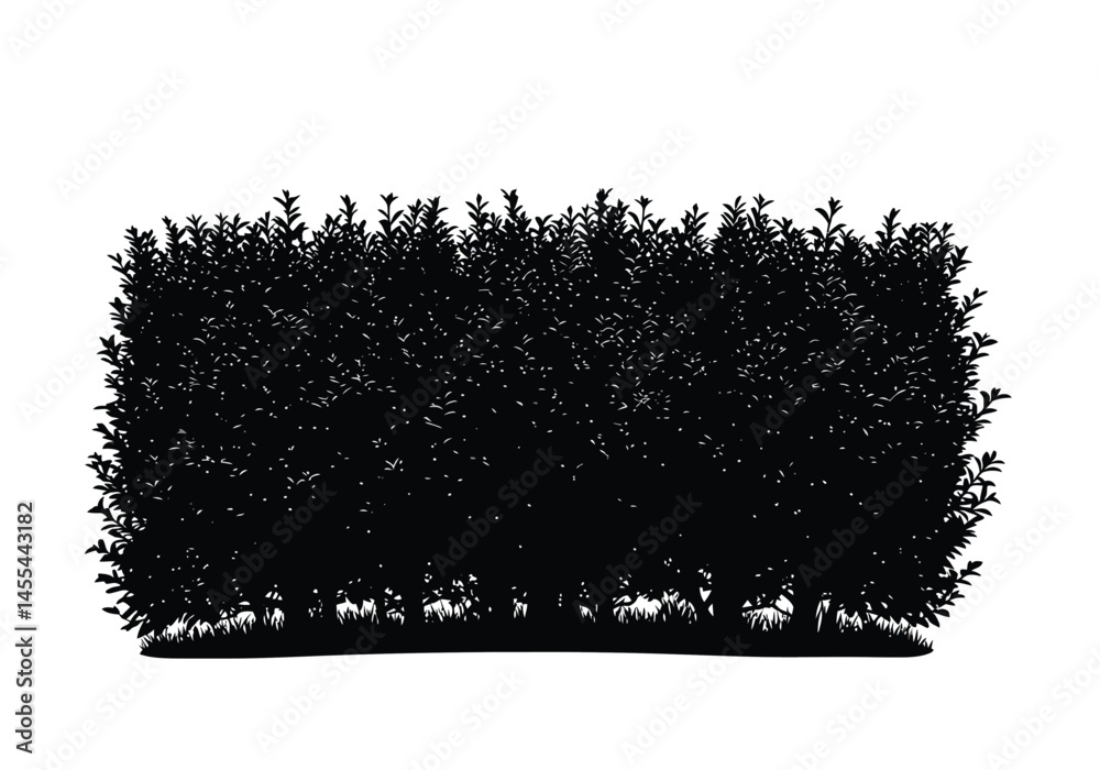 Hedge silhouette. This image shows a dense, thick hedge in silhouette ...