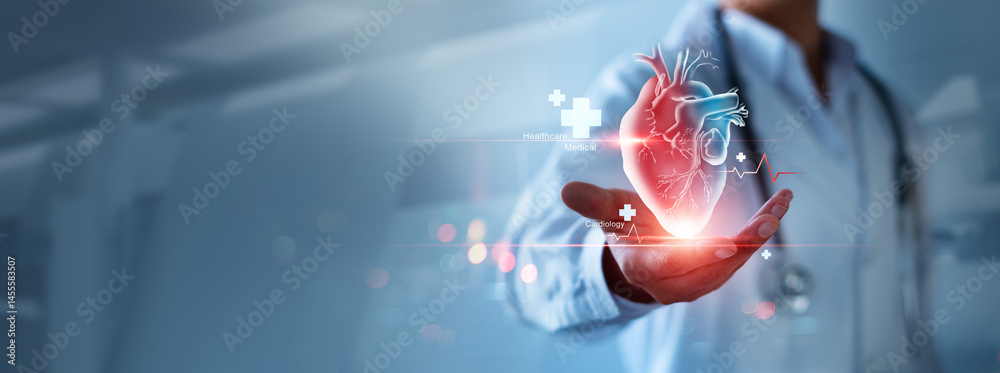 Heart disease and vascular disorder preventive concept. Cardiologist ...