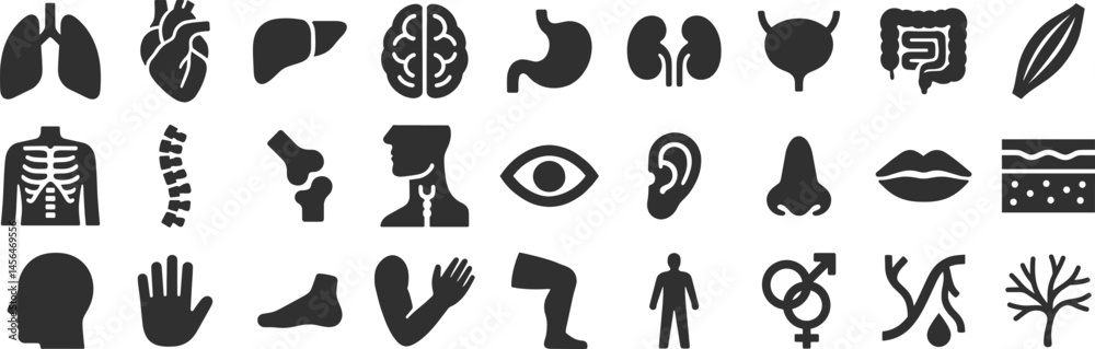 Anatomy glyph icon set. Vector pictograms of body organs, bone ...