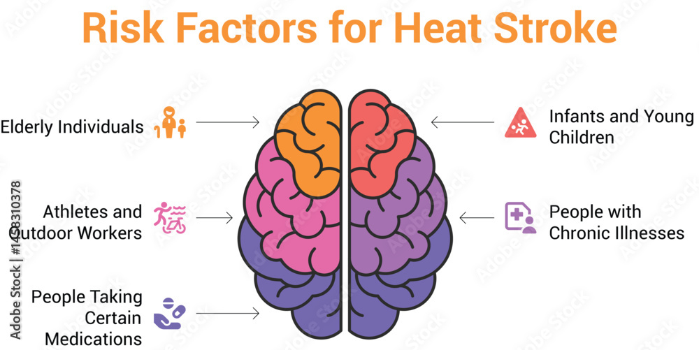 Risk Factors for Heat Stroke: A graphic illustrating the different ...