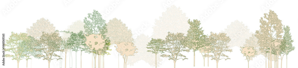 Architectural Drawings, Minimal style cad tree line drawing, Side view ...