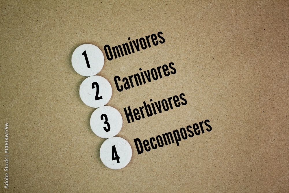 Fotografie What are 4 types of consumers? There are four types of ...