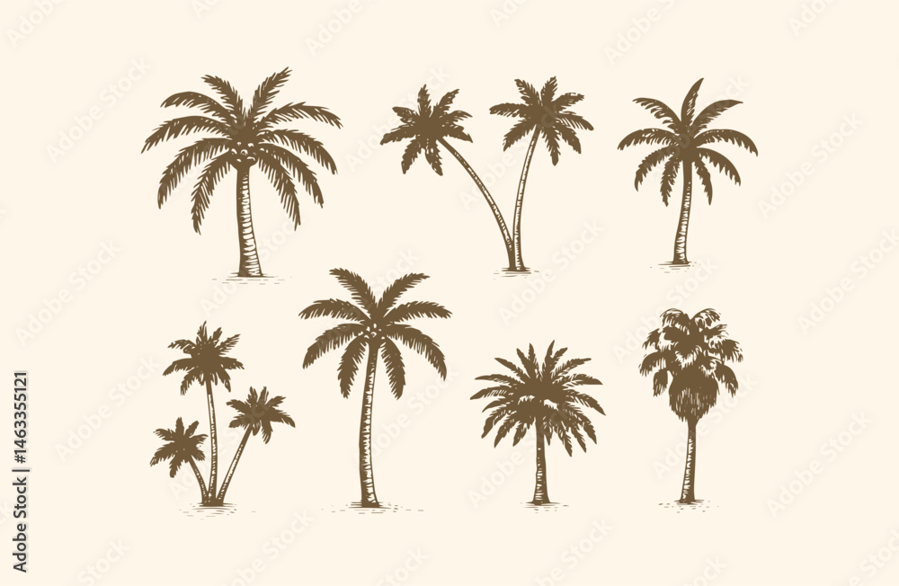 Set of palm tree vintage engraving style logo design illustration Stock ...