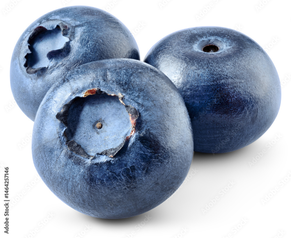 Blueberry isolated png. Blueberry on white or transparent background ...
