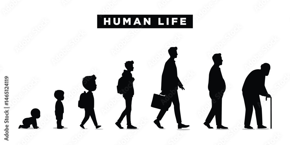 Vector de Stock Human Life Cycle from Baby to Elderly. Life cycles of ...