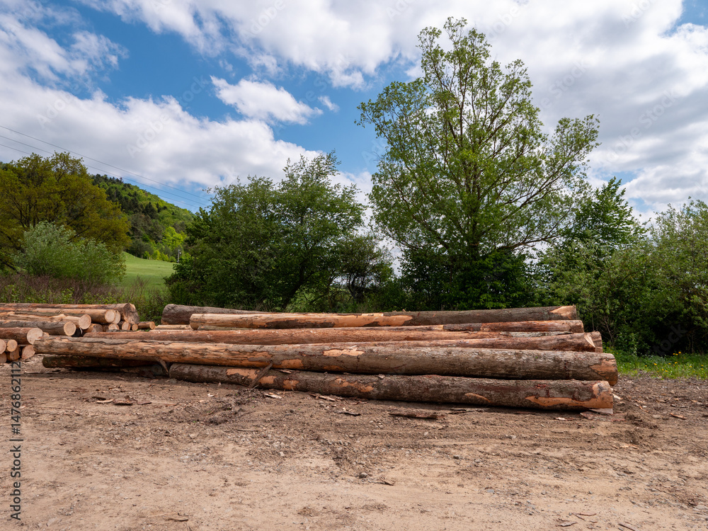 Wood storage area with stacked timber logs on a clearing under the ...