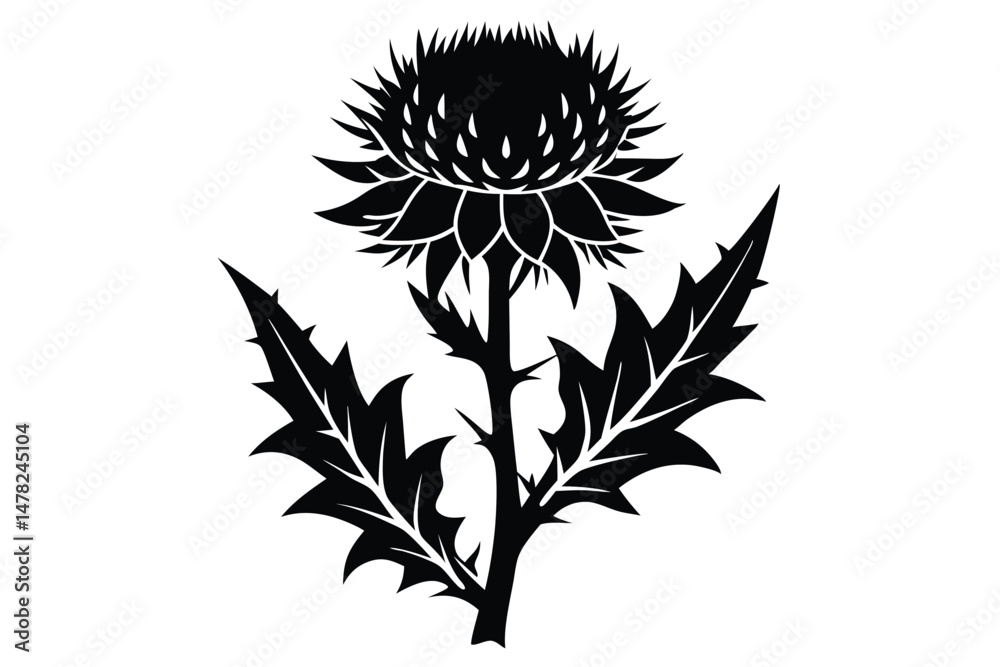 Stylized Black Thistle Illustration Sharp Spines, Intricate Floral ...