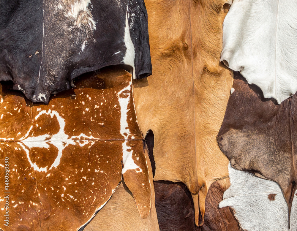 Textures of various South African animal hides and skins, representing ...