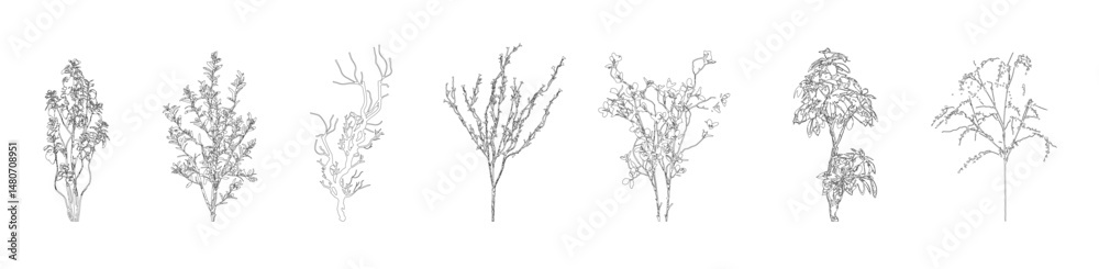 Architectural Drawings, Minimal style cad tree line drawing, Side view, set of graphics trees ...
