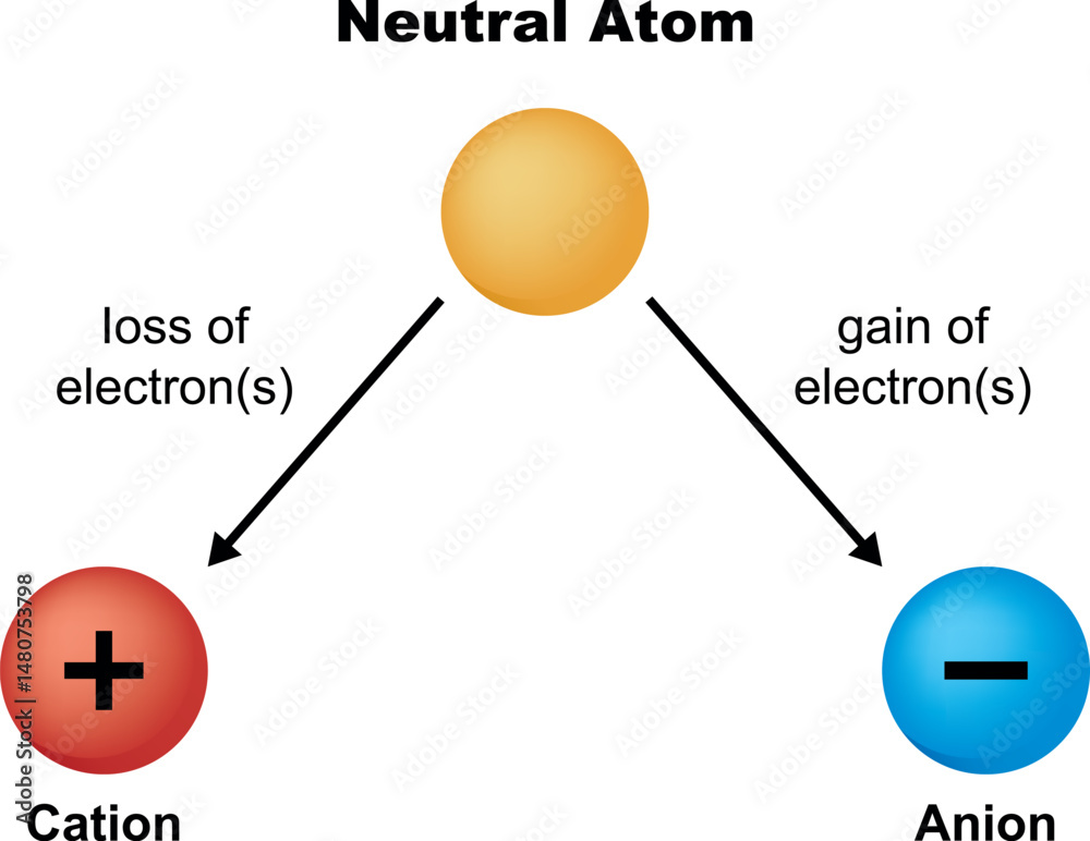 Cations and Anions. A neutral atom becomes an ion by either losing and ...