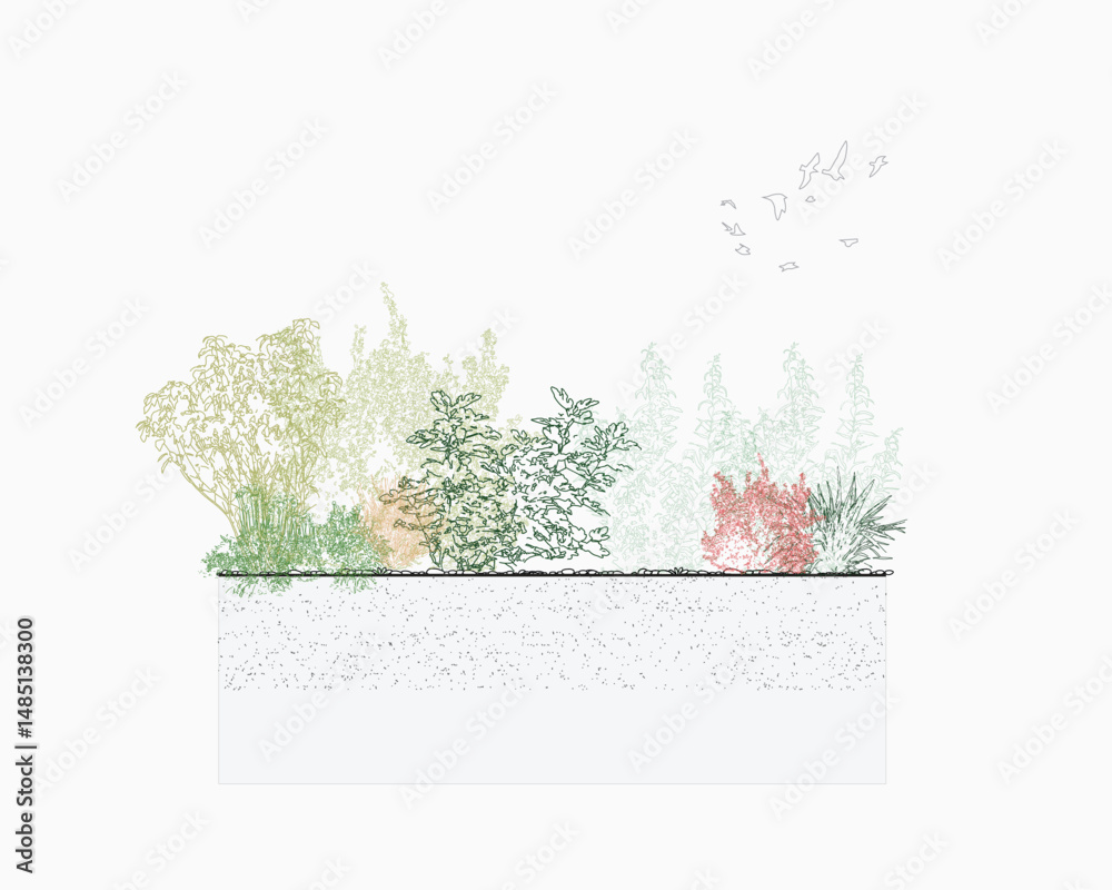 Architectural Drawings, Minimal style cad tree line drawing, Side view ...