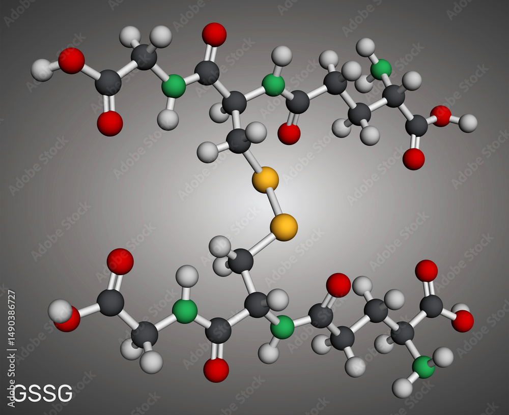 Glutathione disulfide, GSSG molecule. Oxidized form of glutathione ...