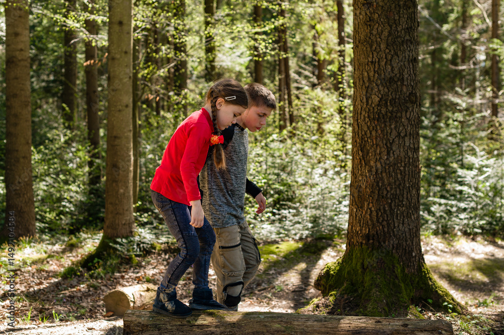 Brother and sister carefully walk a fallen log in a sun-dappled forest ...