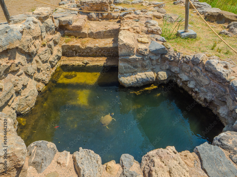 Cistern at the ruin of Minoan civilisation with a turtle swimming in it ...