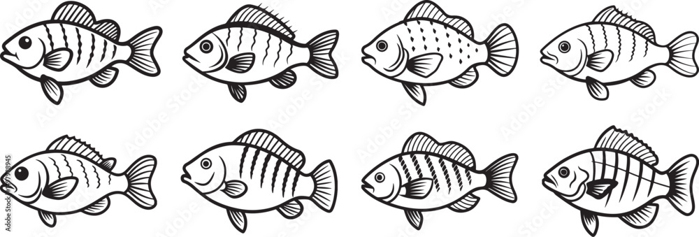 set of crappie fish line art, black outline, vector and illustration ...