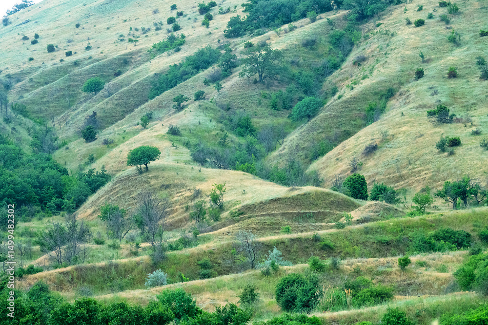Gully terrain on mountainside. Ravines (cleavage) are covered with ...
