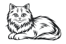 Portrait Of A Cat Illustration Free Stock Photo - Public Domain Pictures