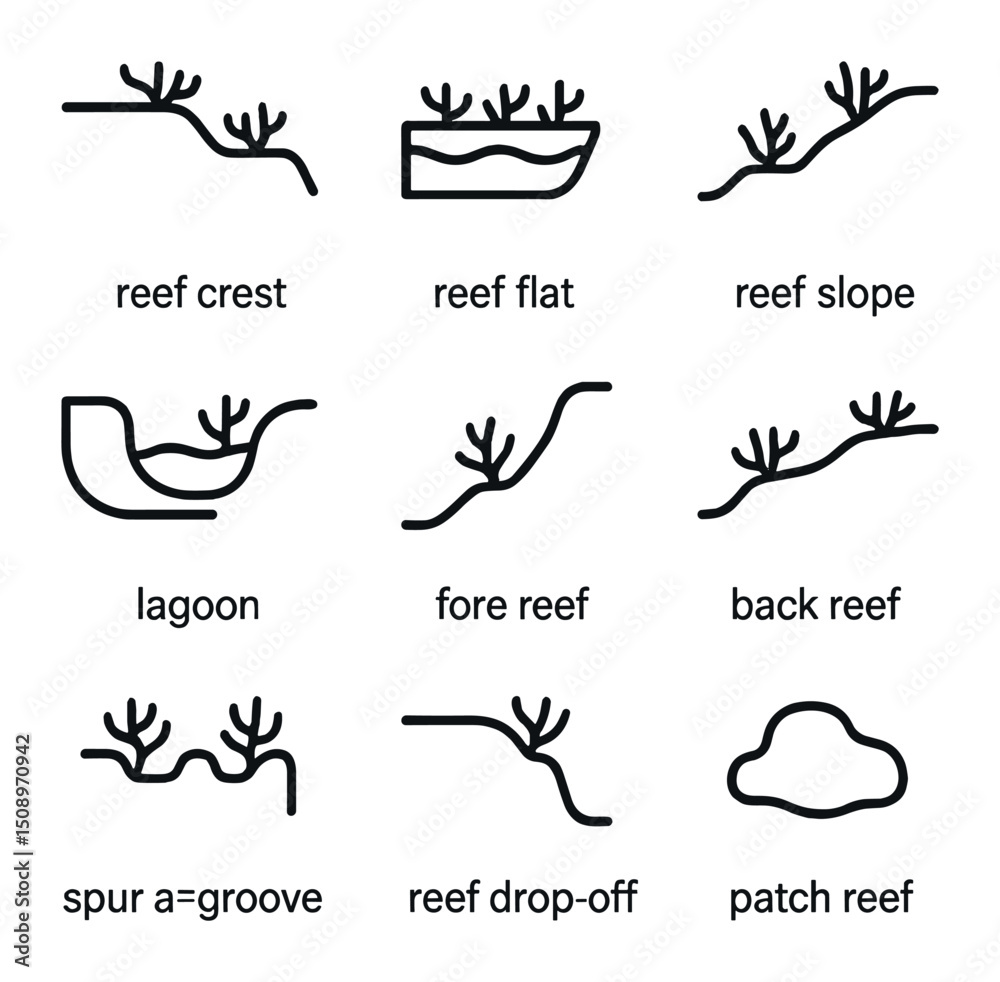 Reef Zones Icon Set. Outline icon set of reef zones: reef crest, reef ...
