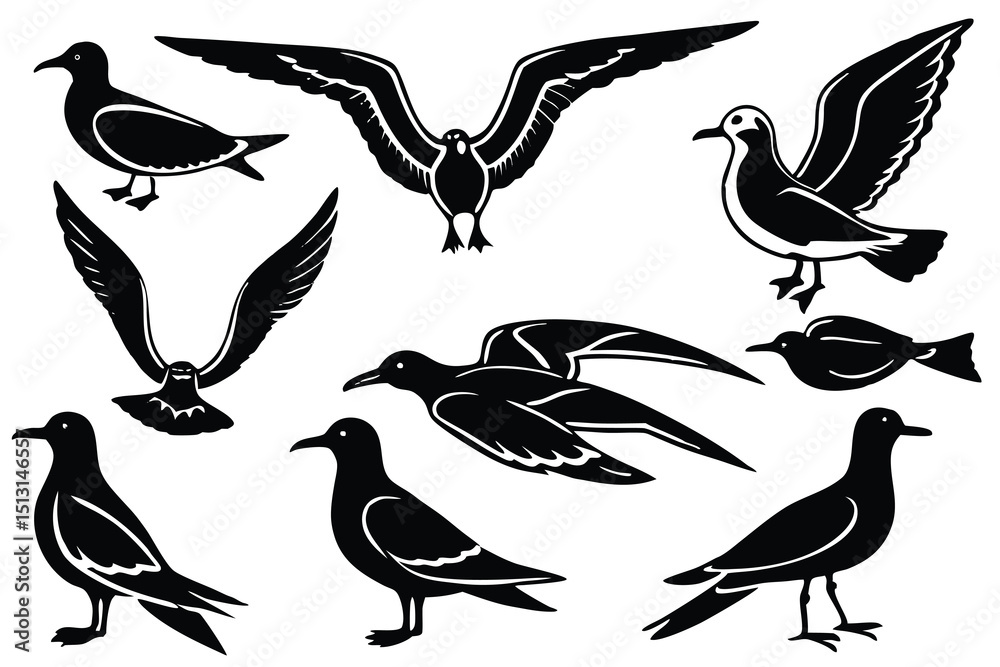 Collection of Seagull Silhouettes Diverse Poses and Angles for Design ...