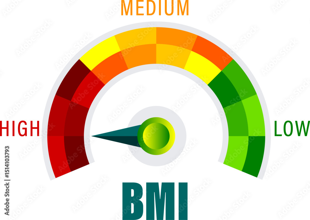 Comprehensive Body Mass Index BMI Meter Vector Illustration Displaying ...